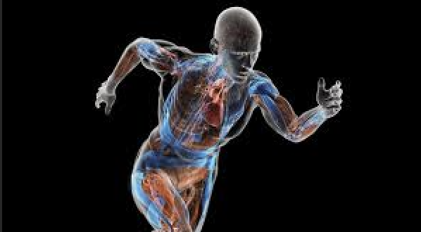 Résultats de la recherche | Champlain College Lennoxville